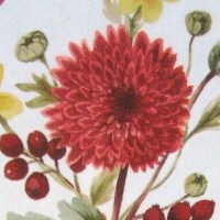 Wash Porch – Remembering Maggie Lane