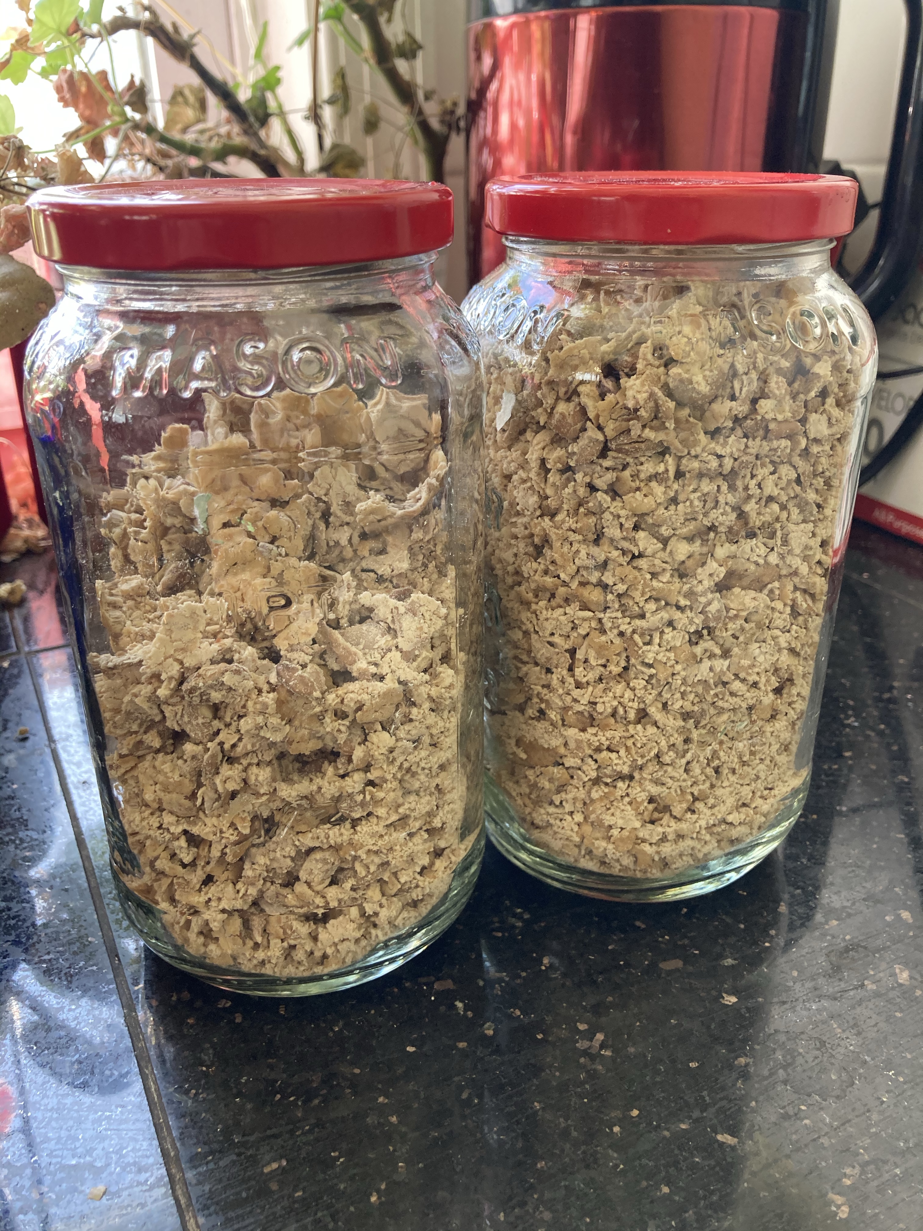 Homemade Dehydrated Refried Beans – Remembering Maggie Lane