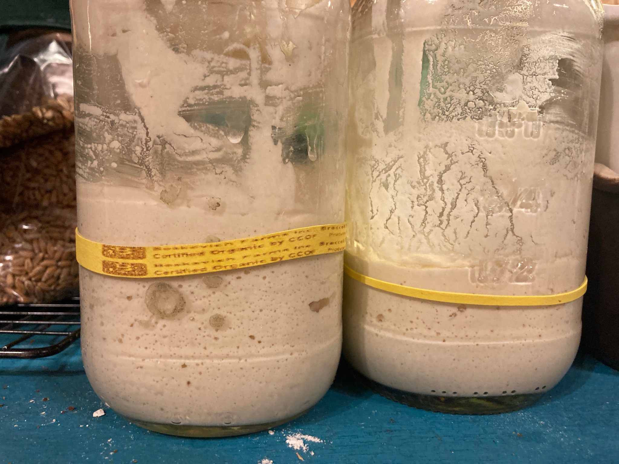 Make Your Own Gluten-Free Sourdough Starter from Scratch – Remembering ...