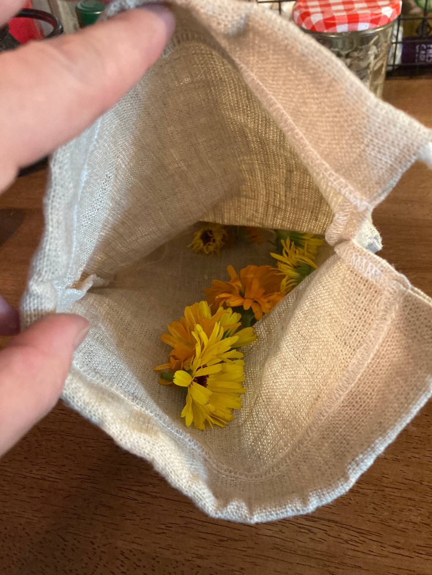 Since your last visit… – Remembering Maggie Lane
