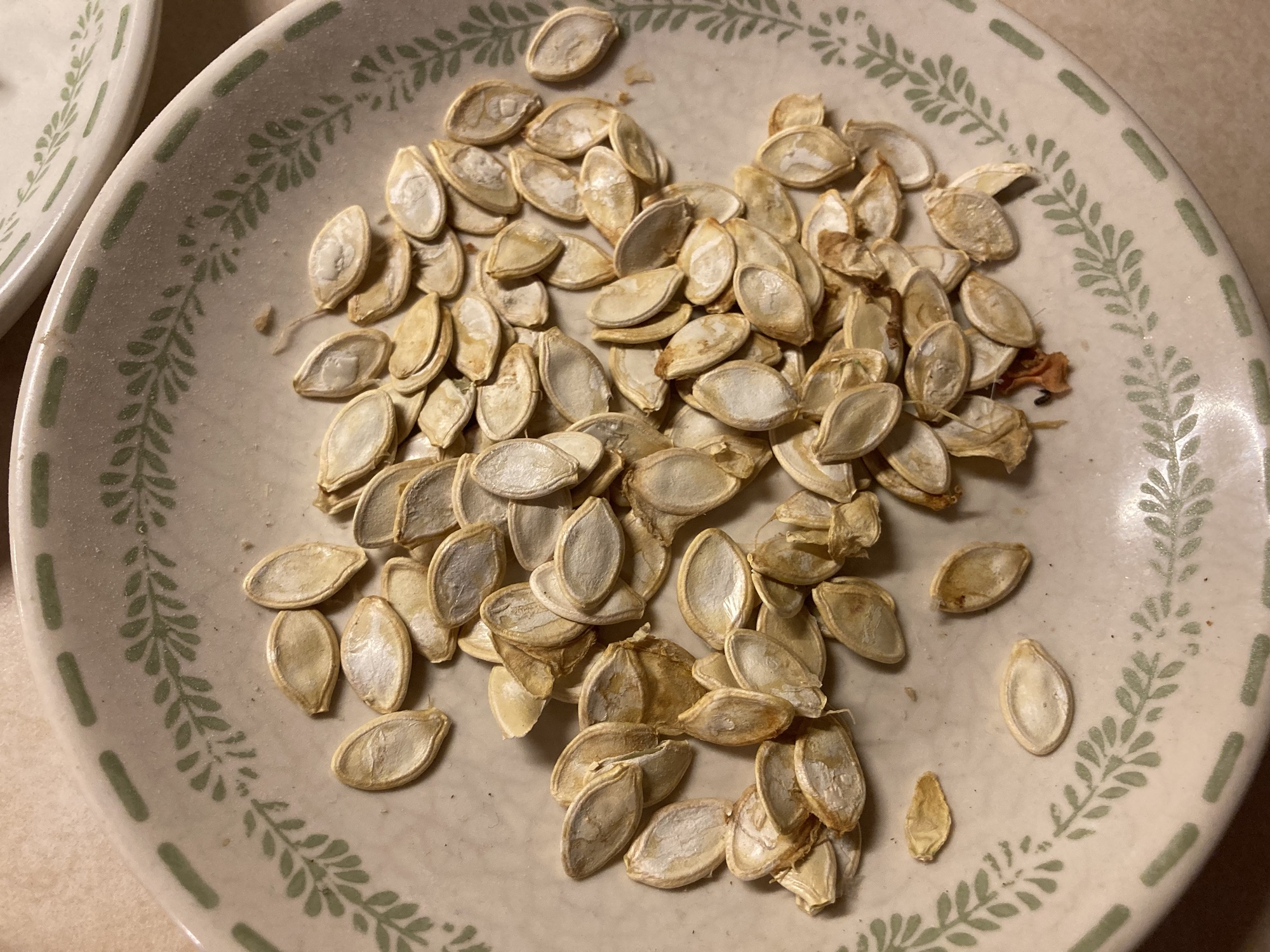 Dead Flowers = SEEDS! Seed saving made simple! – Remembering Maggie Lane